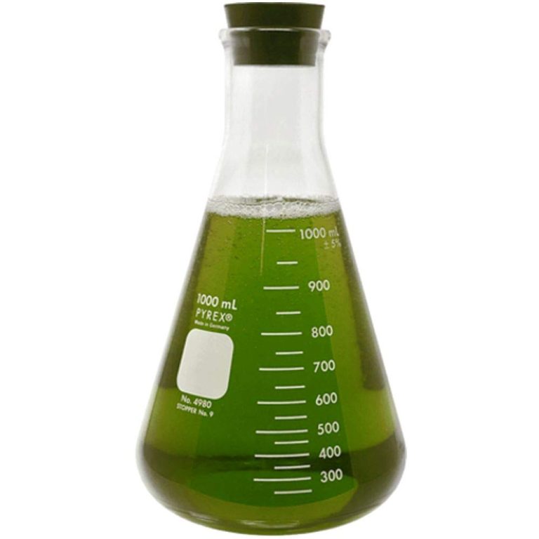 Beaker vs Erlenmeyer Flask: Lab Glassware Comparison Guide