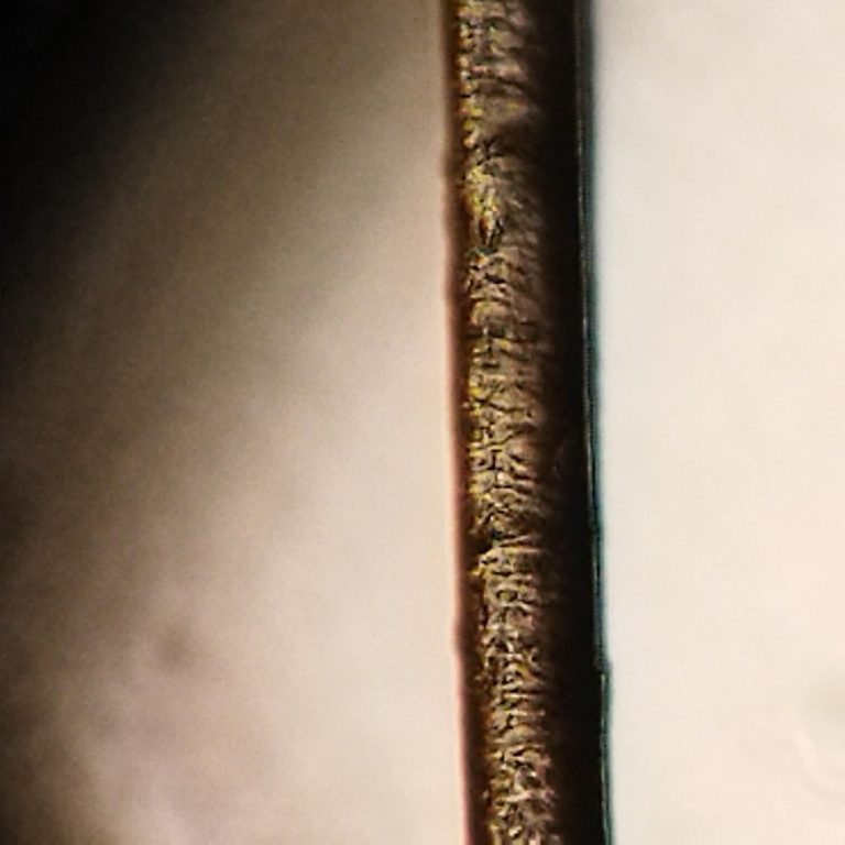 How to Taking a Closer Look: About Hair Under Microscope