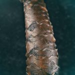 How to Taking a Closer Look: About Hair Under Microscope
