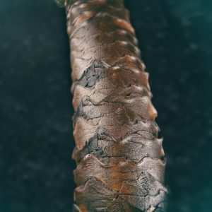 How to Taking a Closer Look: About Hair Under Microscope