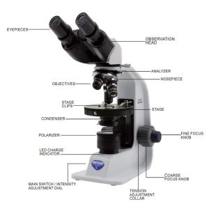 Simple and Practical: Microscope Labeling Guide for Beginners