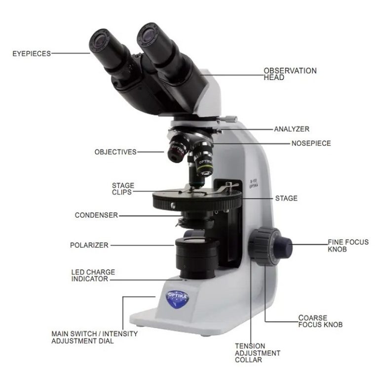 Simple and Practical: Microscope Labeling Guide for Beginners