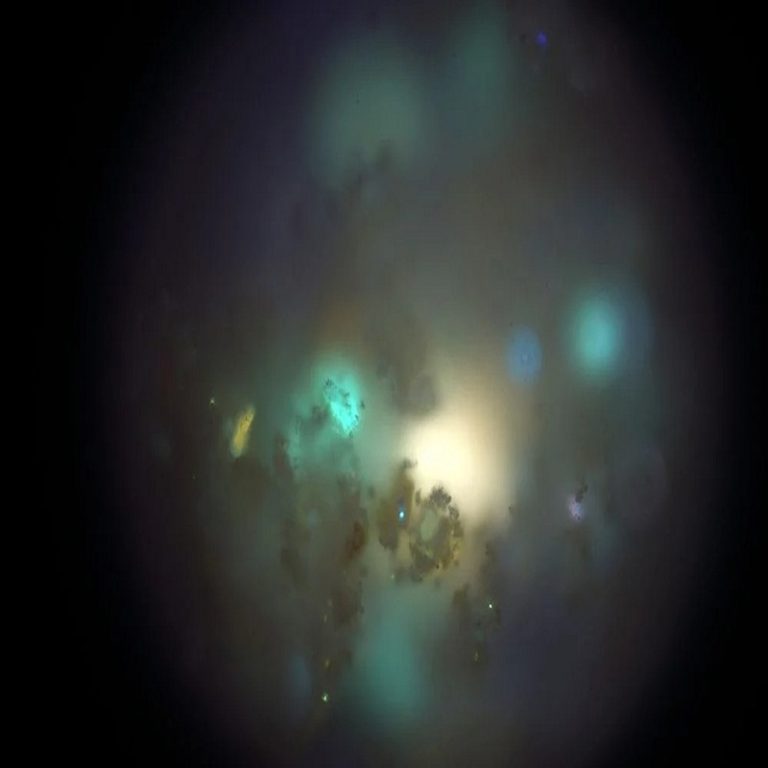 Exploring the Patterns in Human Ashes Under a microscope