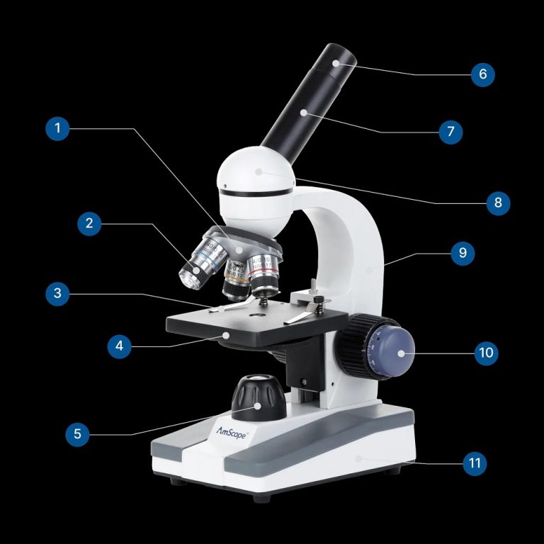 Simple and Practical: Microscope Labeling Guide for Beginners
