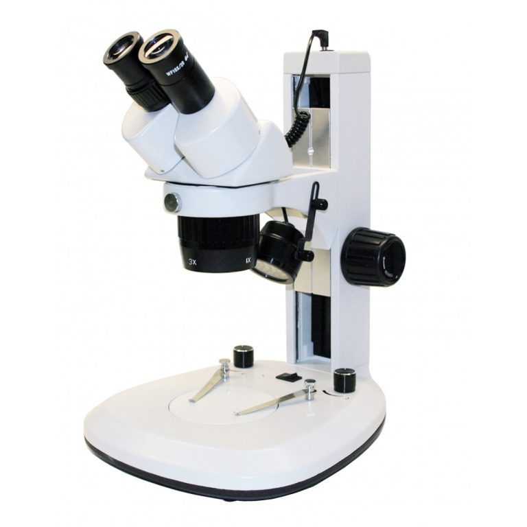 Blood Cells Under Microscope: A Detailed Look at Hematology